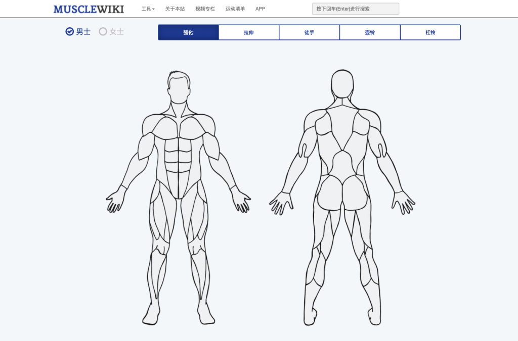 MuscleWiki：懒人的健身教练
