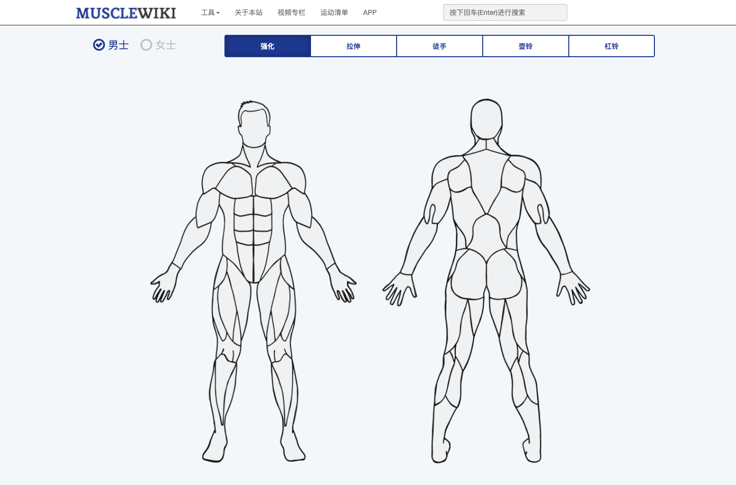 MuscleWiki：懒人的健身教练